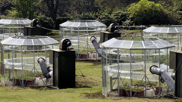 Experimental Ecology