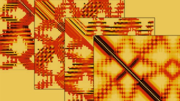 Computational structure prediction protocols