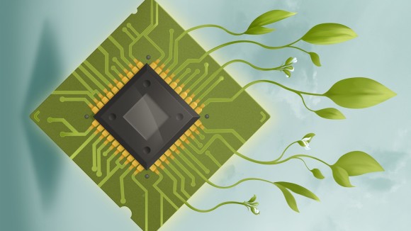 Lifecycle of sustainable electronics