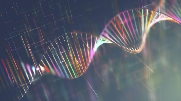 Genome editing and gene therapy in Japan