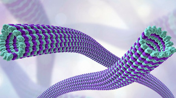 Bio-inspired self-assembling materials