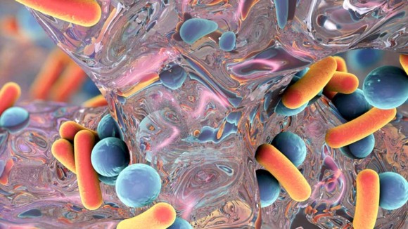 Microbial Ecology