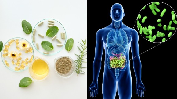 Natural bioactives, Gut microbiome, and human metabolism