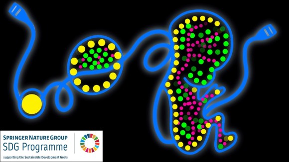 Virtual human development: merging experiments and theory to understand ...