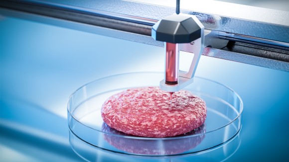 About the Editors | Cultivated Meat and Alternative Protein Sources