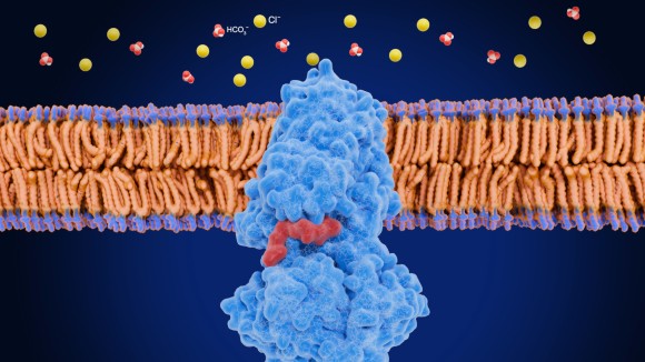 How to submit | Ion channels and channelopathies