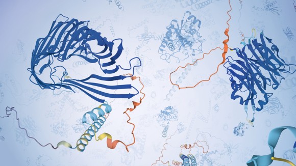Method of the Year 2021: Protein structure prediction