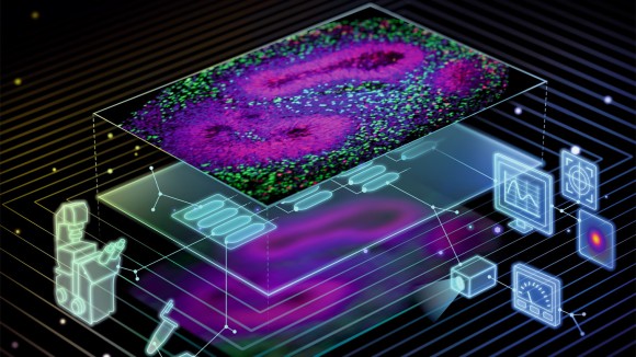 Reporting and reproducibility in microscopy
