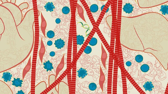 Fibrosis: mechanisms and targets