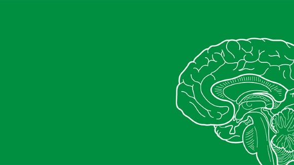 Scaling up neuroscience Scaling up neuroscience