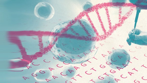 The genetic microscope