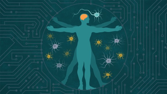 Focus on neural control of energy homeostasis