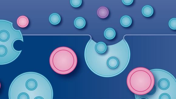 Extracellular vesicles
