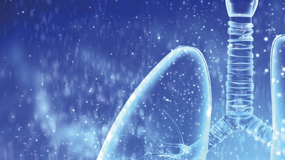 Respiratory Care Week: Research Highlights from npj Primary Care ...