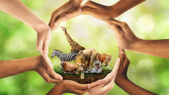 Conservation Genomics