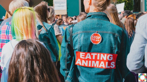 Social and ethical perspectives on vegan and vegetarian lifestyles