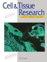 Home | Cell and Tissue Research