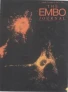 Volume 13, Issue 9 | The EMBO Journal