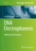 2D Gel Electrophoresis to Detect DNA Replication and Recombination ...