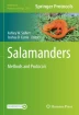 Salamanders as Key Models for Development and Regeneration Research ...