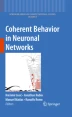 Reverberatory Activity in Neuronal Networks | SpringerLink