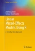 Fitting Linear Mixed-Effects Models: The lmer() Function | SpringerLink