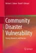 Disasters and the Promise of Disaster Vulnerability Theory | SpringerLink