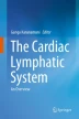 A General Outline of the Cardiac Lymphatic System | SpringerLink
