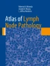 Normal Lymph Node Architecture and Function | SpringerLink