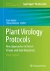 Efficient Double-Stranded RNA Production Methods for Utilization in Plant Virus Control ...