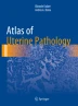 Normal Histology of the Uterine Corpus | SpringerLink