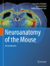 The Mouse Caudate Putamen, Motor System, and Nucleus Accumbens ...