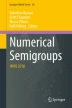 Numerical Semigroup Rings of Maximal Embedding Dimension with ...