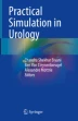 Cystoscopy and Ureteroscopy Simulation | SpringerLink