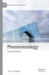 What Is Phenomenology? | SpringerLink