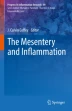 Mesenteric Adenopathy and Adenitis | SpringerLink