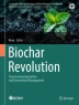 Introducing Biochar: A New Innovative Carbon Storage Solution | SpringerLink