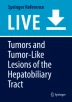 Tumor-like Necroses of the Liver: Liver Infarct and Hepatic Pseudo ...