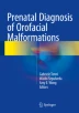 Binder Syndrome: Prenatal Diagnosis, Management, and Prognosis ...