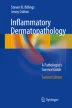 Perivascular Dermatitis | SpringerLink
