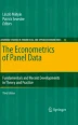 Spatial Panel Econometrics | SpringerLink