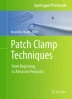 Perforated Whole-Cell Patch-Clamp Technique: A User’s Guide | SpringerLink