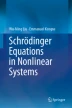 Overview of Nonlinear Schrödinger Equations | SpringerLink