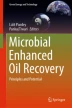 Secondary and Tertiary Oil Recovery Processes | SpringerLink