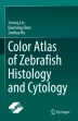 Whole Zebrafish Section Atlas | SpringerLink