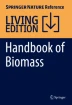 Modern Biomass Conversion Technologies | SpringerLink