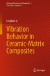 Vibration Natural Frequency of Ceramic-Matrix Composites | SpringerLink