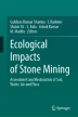 Stone Mining Industry: Overview and Applications of Stones | SpringerLink