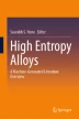Fundamentals of High Entropy Alloys | SpringerLink