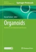 Mouse Small Intestinal Organoid Cultures | Springer Nature Link